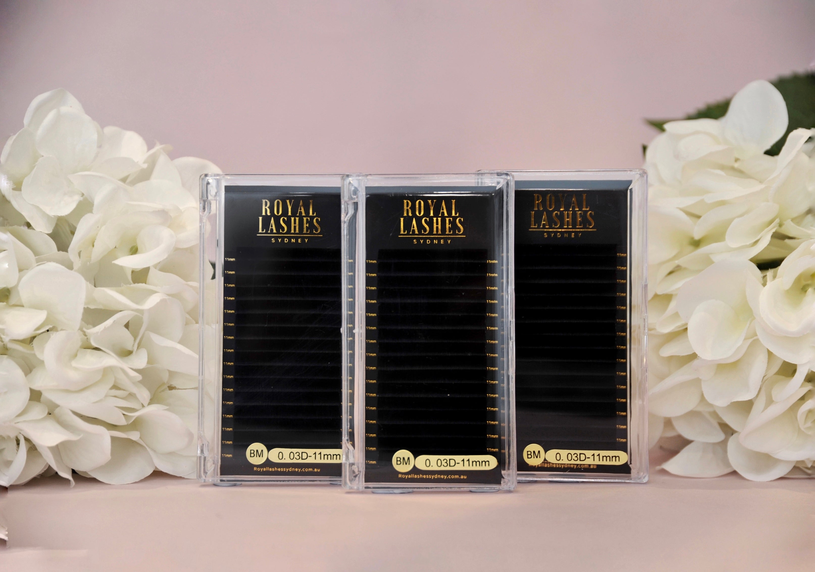 Lash Trays – SHOP ROYAL LASHES
